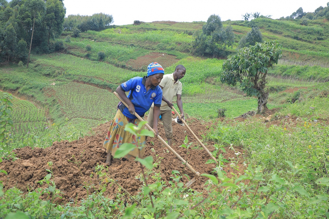 Climate Change and Resilient Livelihoods – UCOBAC